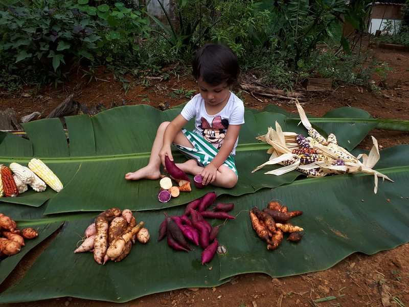 Supporting Traditional Agricultural Practices Among Guarani Women in ...