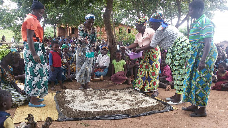 Achieving Food Sovereignty for Smallholder Farmers in Kenya – Buddhist ...